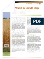 Wheat Growth Stages Overview | PDF | Seed | Wheat