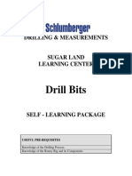 NOV Bits | PDF | Drilling | Drill
