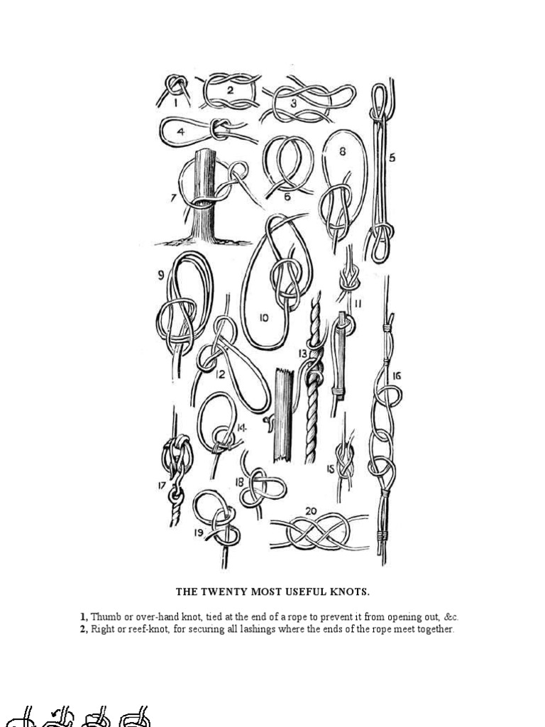 The Twenty Most Useful Knots | Knot | Rope