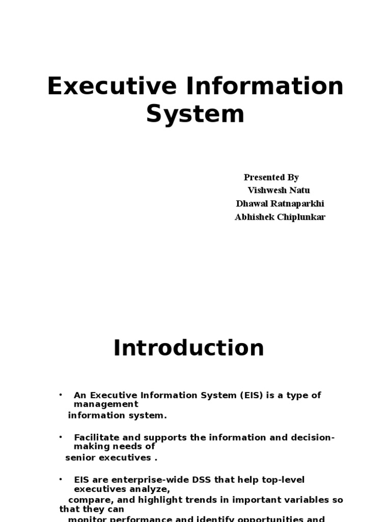 Executive Information System Overview | PDF | Business | Computers