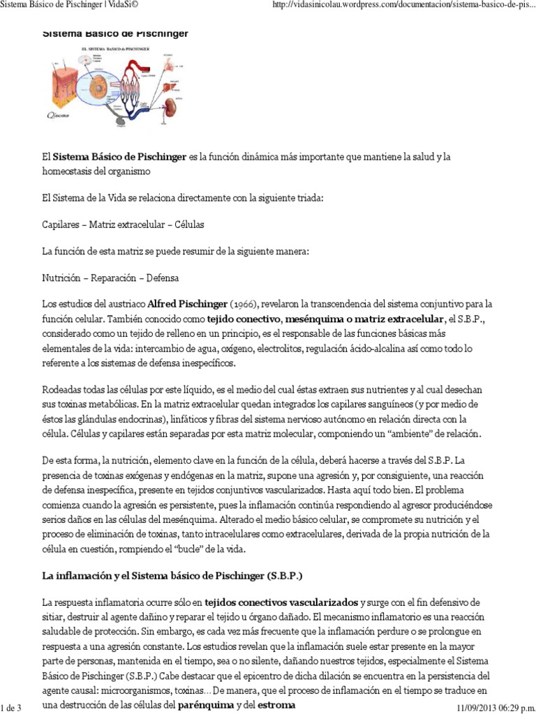 Sistema Básico de Pischinger | PDF | Inflamación | Tejido conectivo