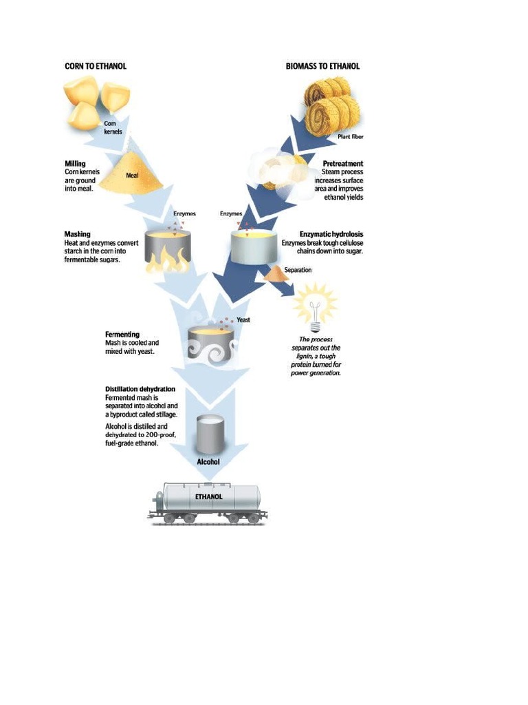 Proses Penghasilan Tenaga Biomas | PDF | Sains & Matematika