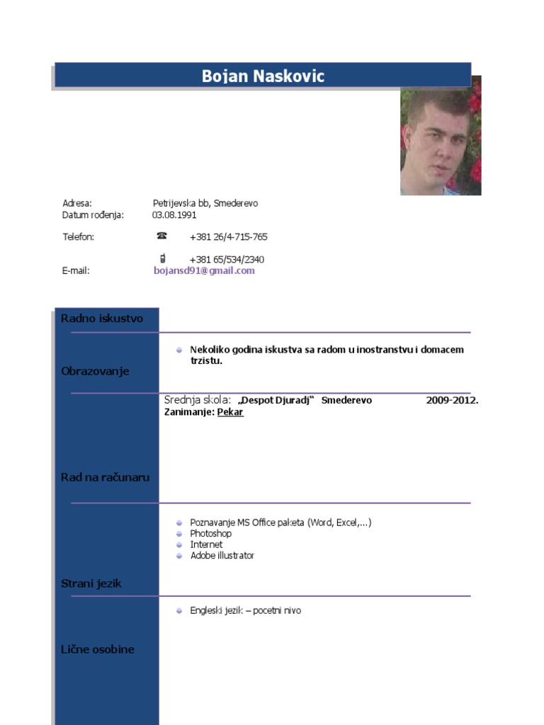 Bojan CV | PDF