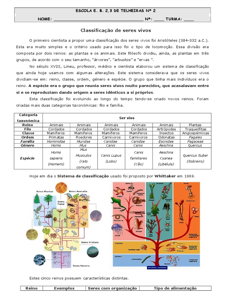 Classificacao Seres Vivos | Taxonomia (Biologia) | Classificação Biológica