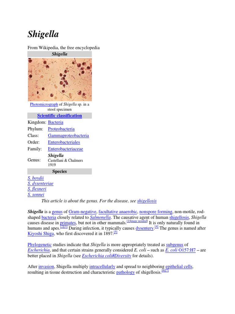 Shigella | PDF | Medical Specialties | Epidemiology