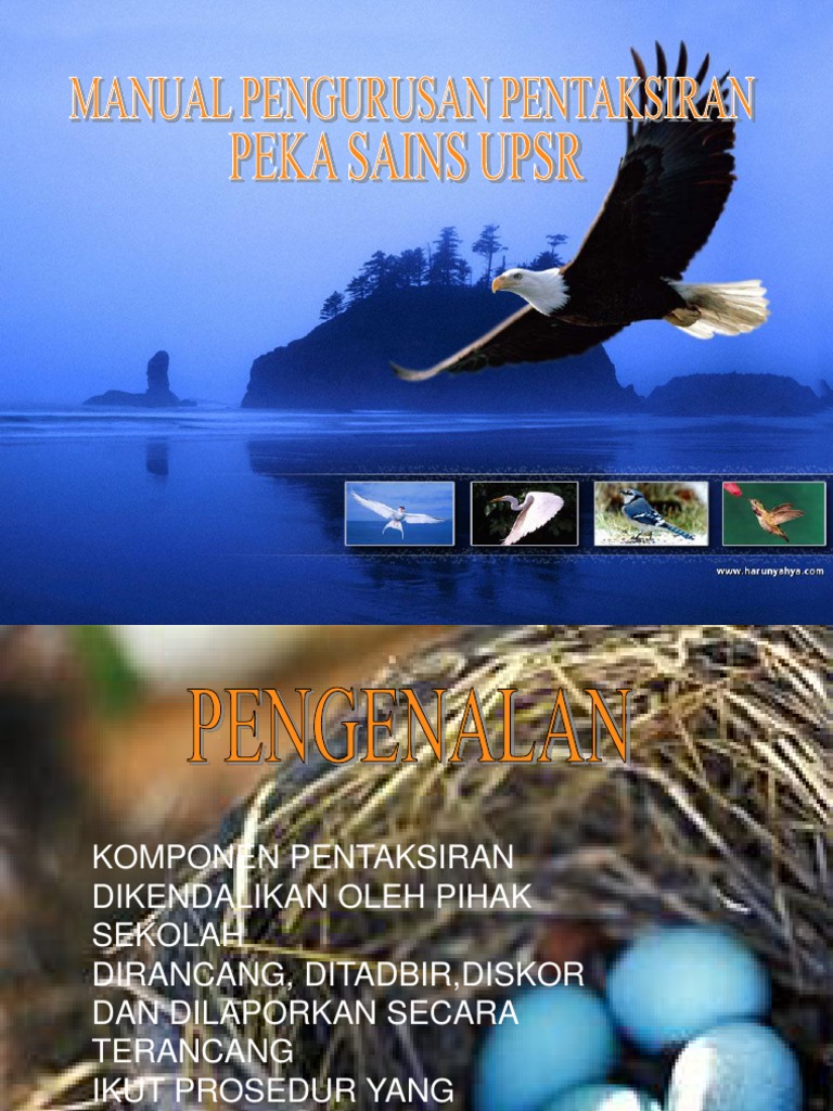PenGurusAn Peka Sains Sekolah Rendah | PDF