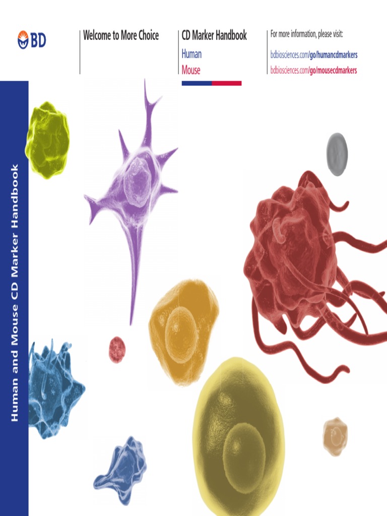 CD Marker Handbook | PDF | T Cell | B Cell