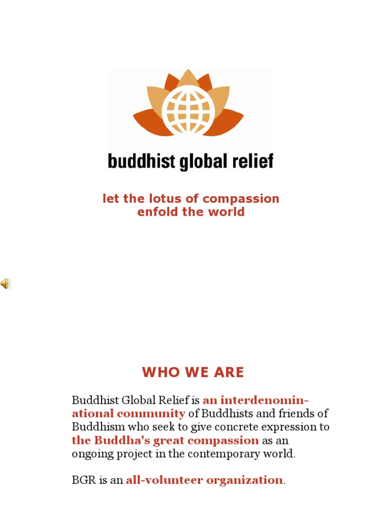 BGR Intro - PDF Format | PDF | Social Science