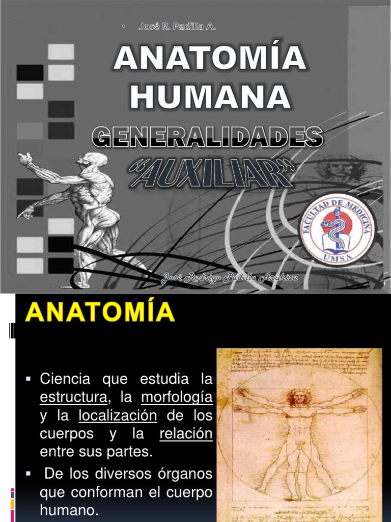 Generalidades Anatomia Humana | PDF | Articulación | Mano