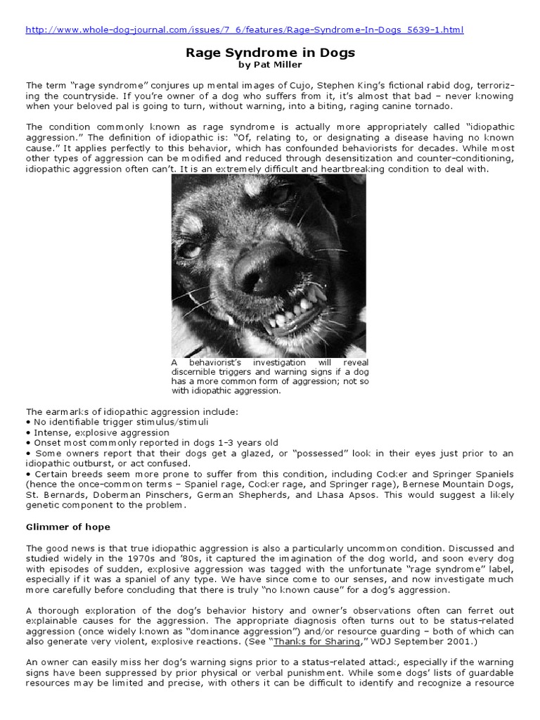 Rage Syndrome in Dogs | PDF | Clinical Medicine | Diseases And Disorders