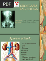Protocolo UROTAC | PDF