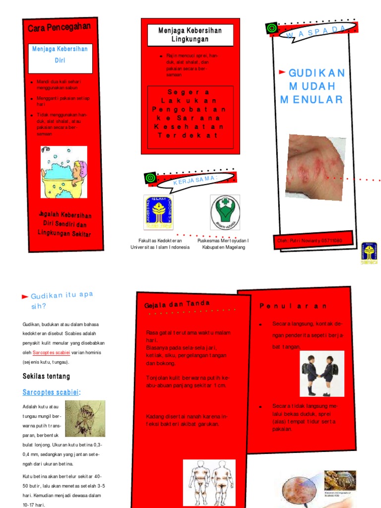 Leaflet Scabies | PDF