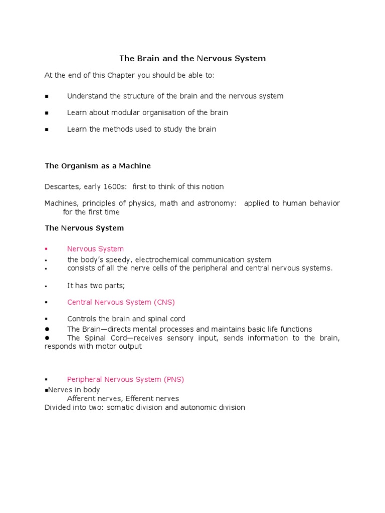 The Brain and The Nervous System | PDF | Nervous System | Brain