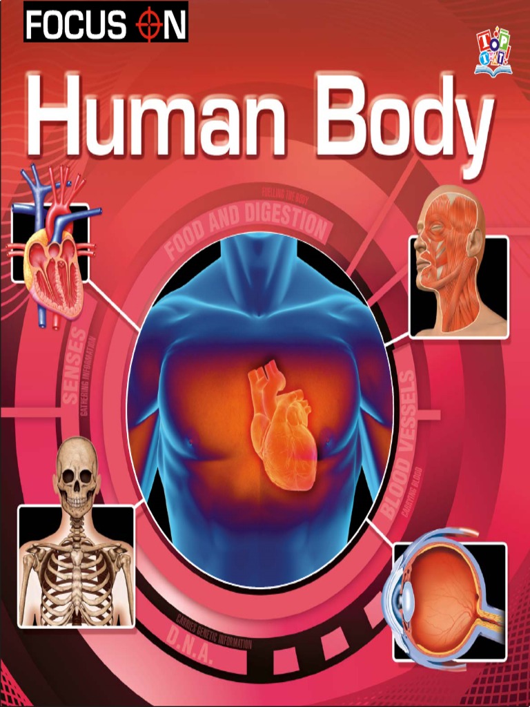 Human Body Book | PDF | Ear | Heart