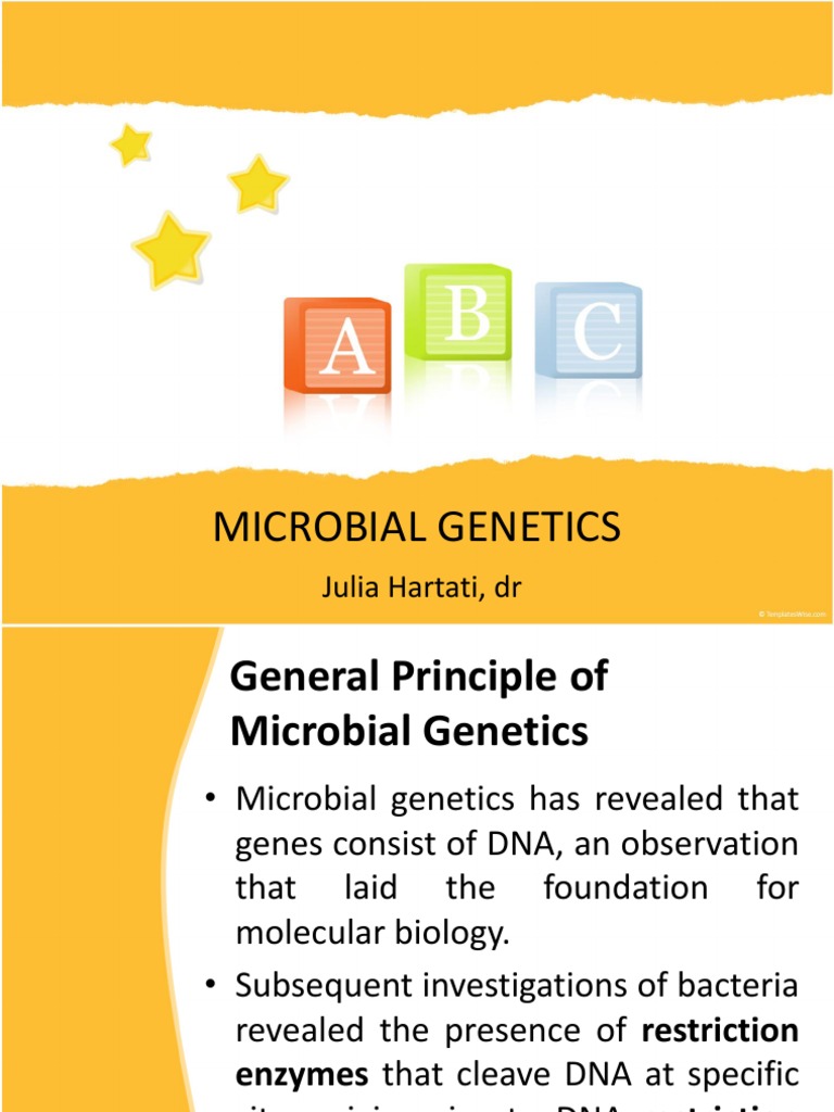 Microbial Genetics Julia Hartati Dr Pdf Bacteriophage Plasmid