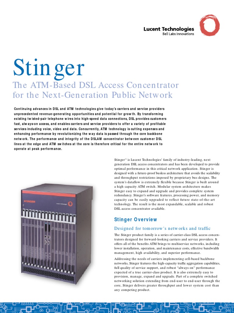 Stinger: The ATM-Based DSL Access Concentrator For The Next-Generation ...