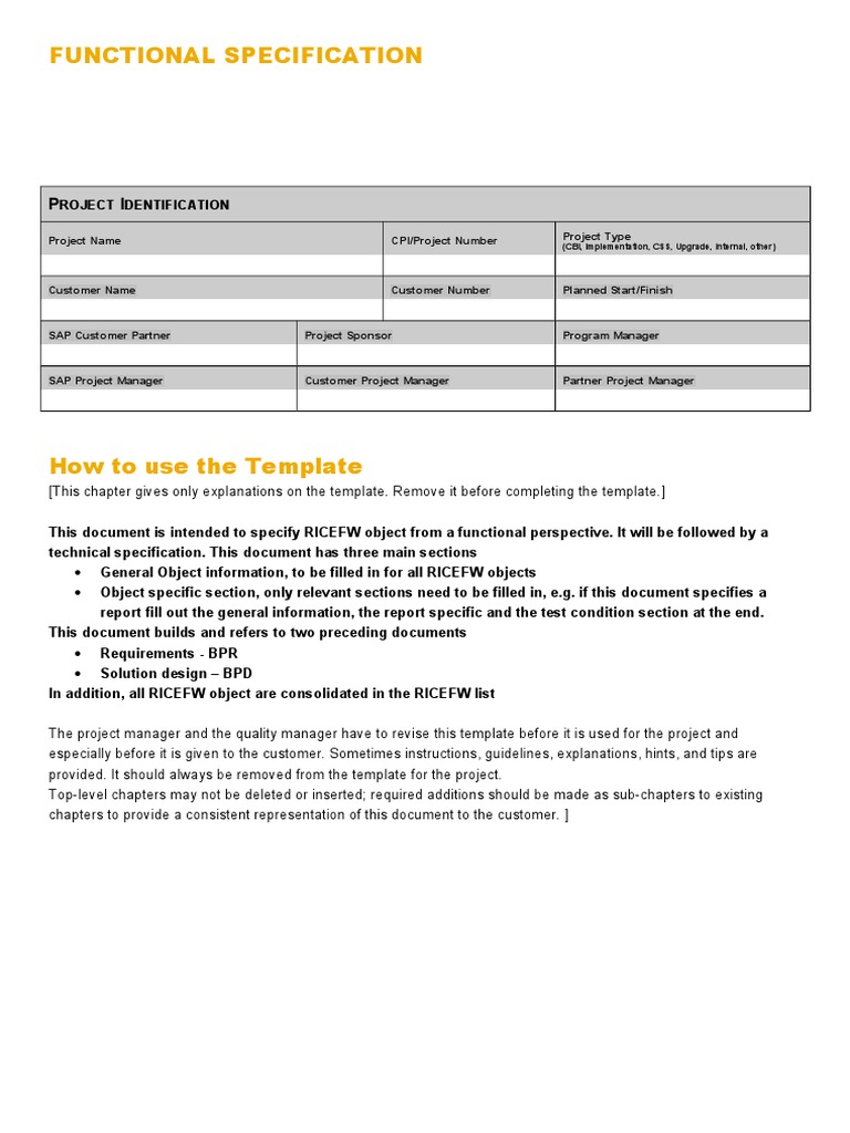 Functional Specification Template Wricef | Pdf | Specification 