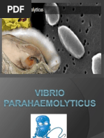 Enterobius vermicularis: Ciclo y Tratamiento | PDF | Epidemiología ...