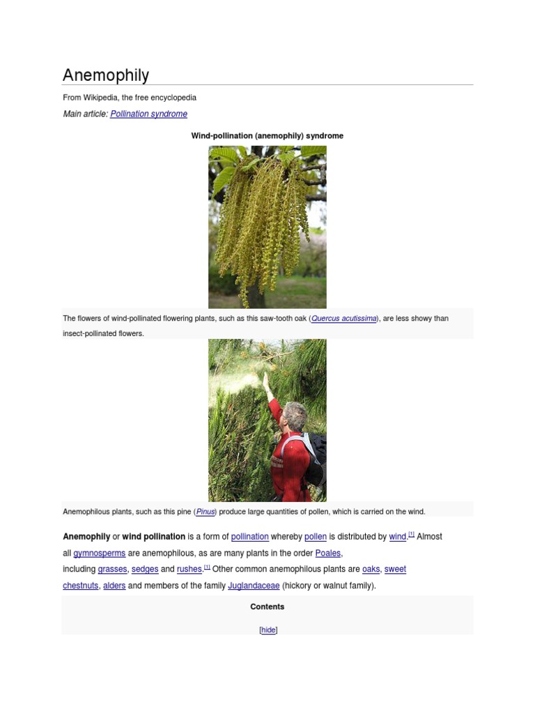 Anemophily | PDF | Hobbies | Plant Morphology