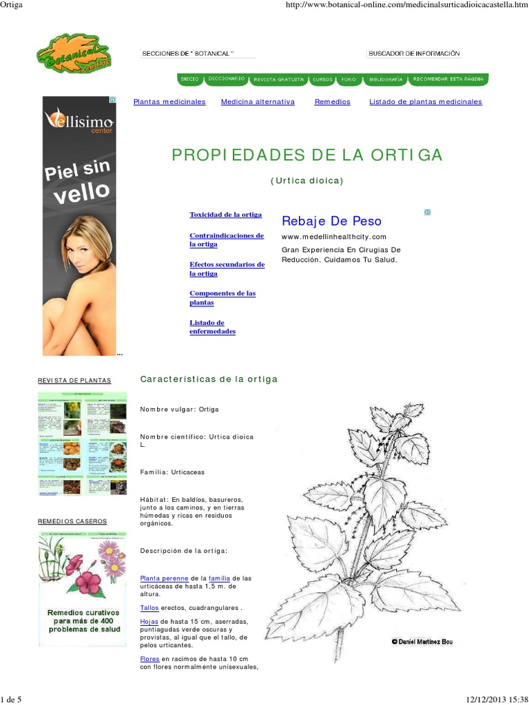 Ortiga | PDF | Medicina | Plantas