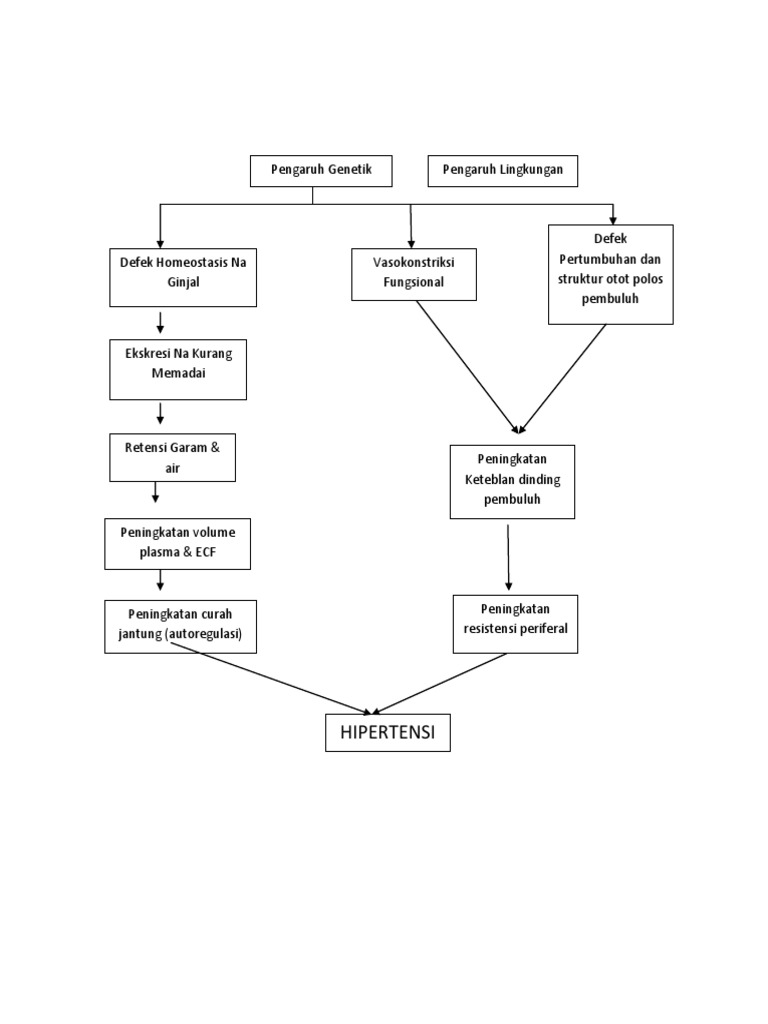 Skema Patogenesis Hipertensi | PDF