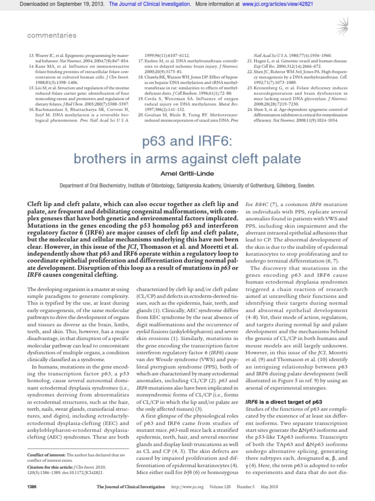 p63 and IRF6: Brothers in Arms Against Cleft Palate: Commentaries | PDF ...