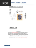 BOP Testing Guidelines per API RP 53 | PDF