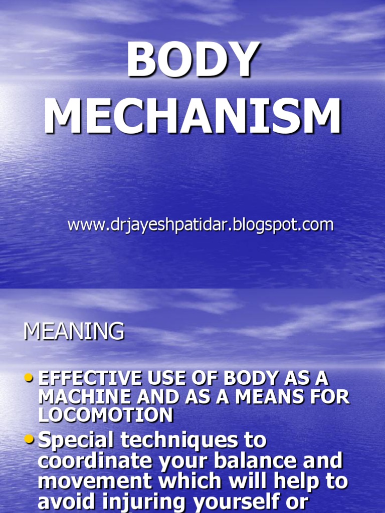 Body Mechanism | PDF | Human Musculoskeletal System | Muscle
