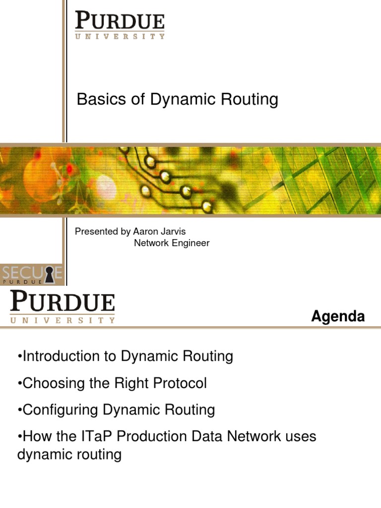 Dynamic Routing | PDF | Routing | Internet Architecture