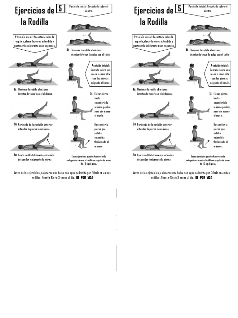 RODILLA | PDF | Cocina, comidas y vino | Bienestar