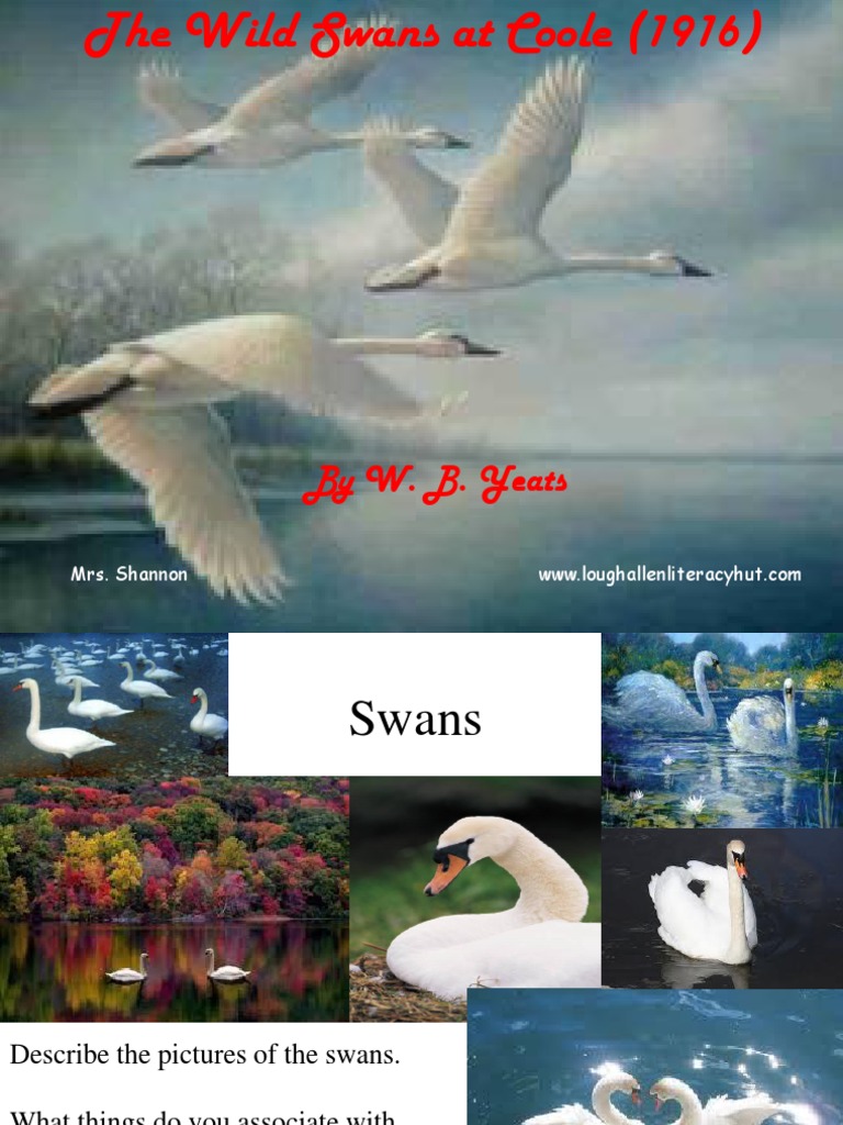 The Wild Swans at Coole Powerpoint | PDF | Poetry
