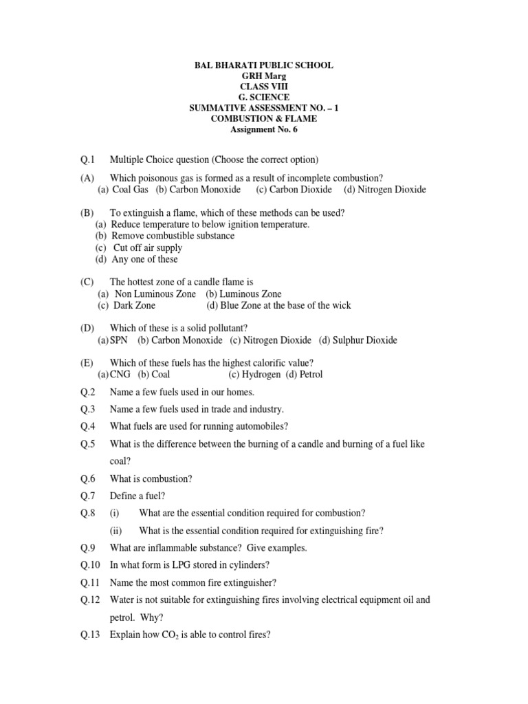 CBSE Class 8 Science Worksheet | PDF | Combustion | Fires