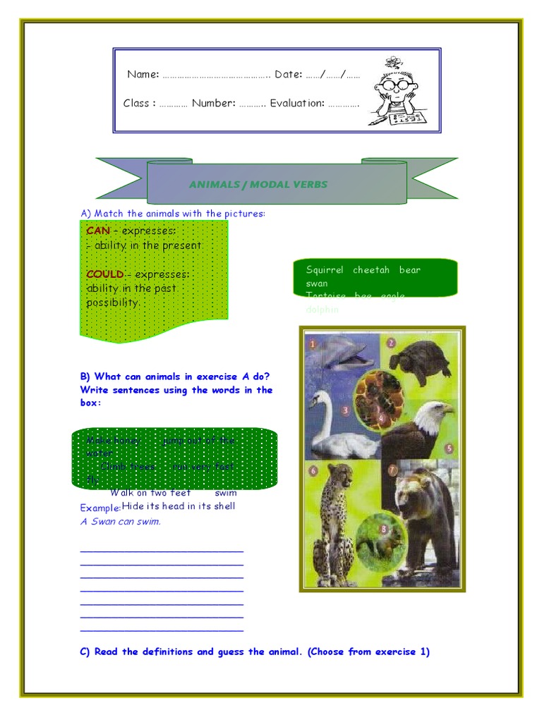 Animals Modal Verbs | PDF