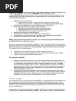 Autopsy of A Dill Pickle Person Lab | PDF | Abdomen | Anatomical Terms ...