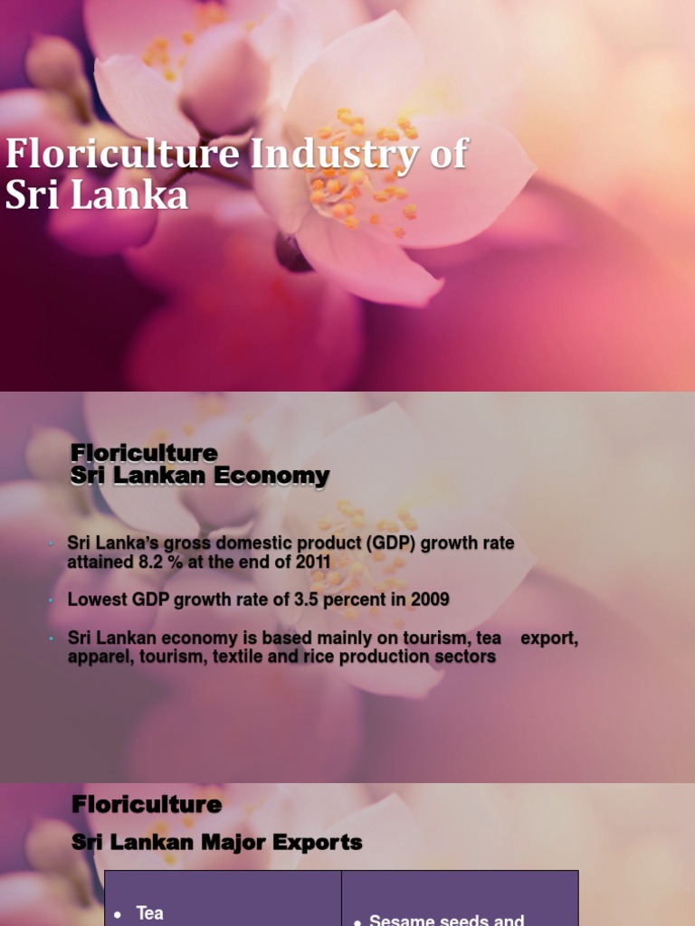 Floriculture - Presentation | PDF | Exports | Strategic Management