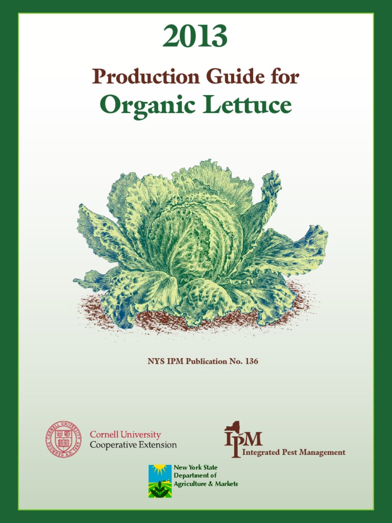 Production Guide For Organic Lettuce | PDF | Crop Rotation | Organic ...