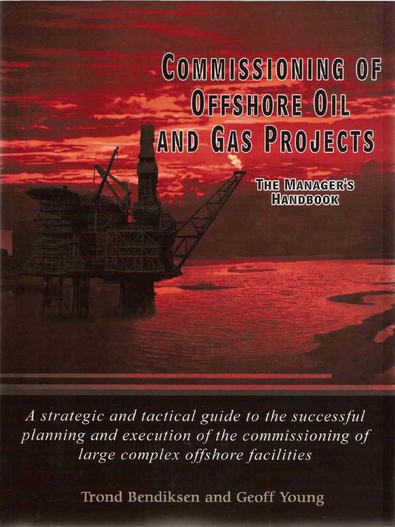 Commissioning of Offshore Oil & Gas Projects | PDF | Databases ...