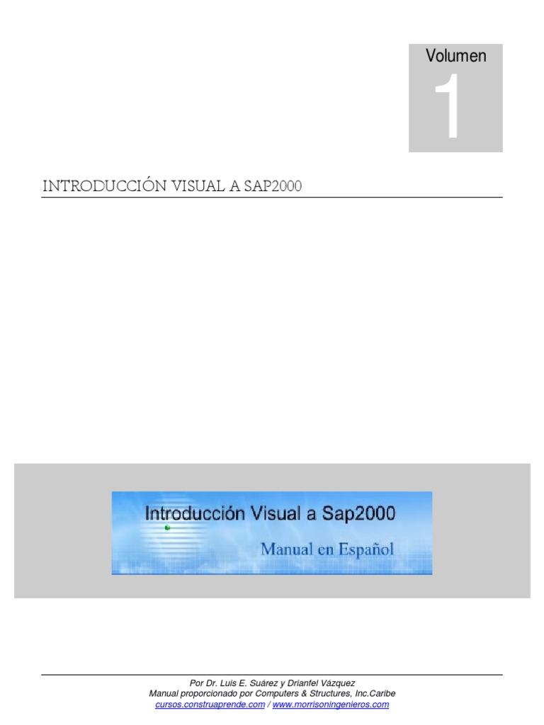 Manual Sap 200 Español | PDF