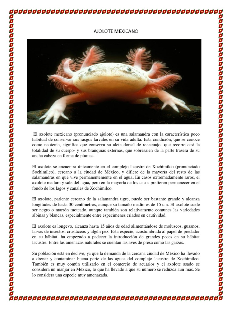 Ajolote Mexicano | PDF