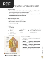 Bentuk Dada Normal dan Abnormal | PDF | Kajian Bahasa Asing | Sains ...