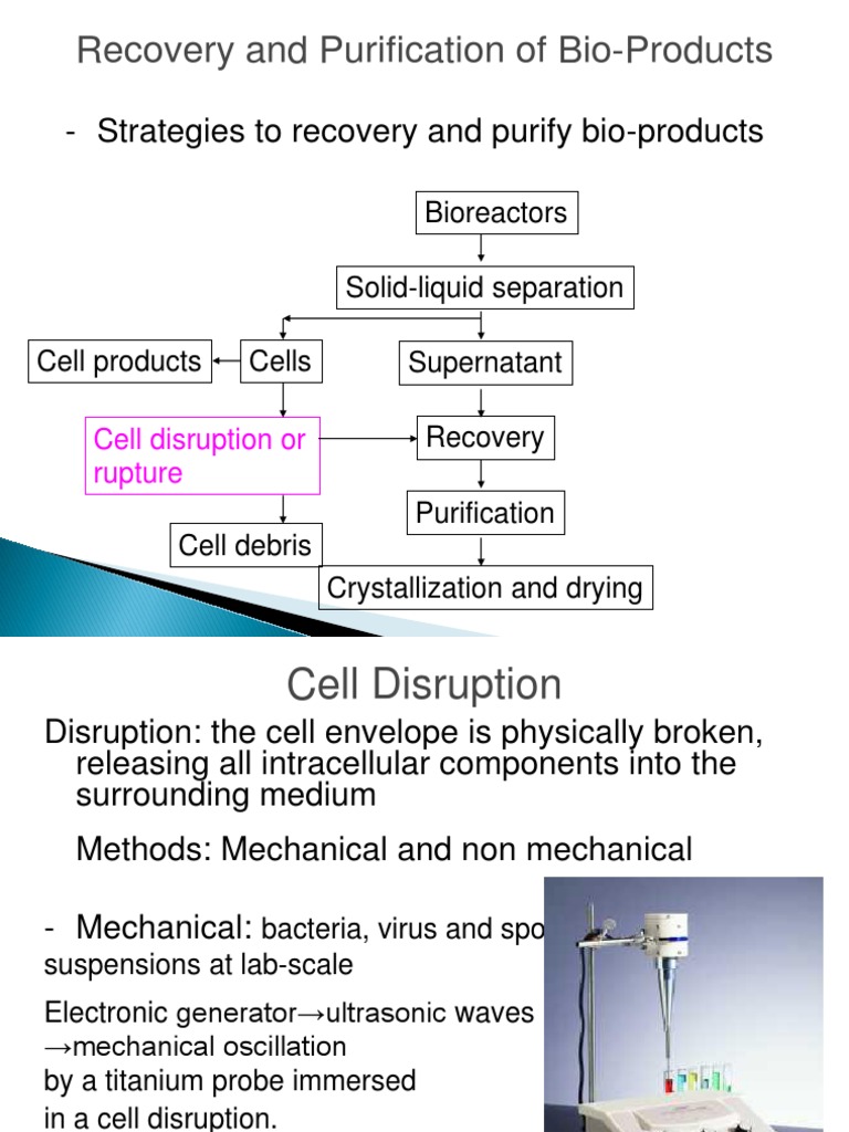 Recovery and Purification of Bio-Products | PDF | Chromatography ...