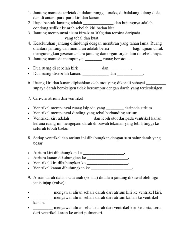 Jantung Manusia Terletak Di Dalam Rongga Toraks | PDF | Perjalanan ...