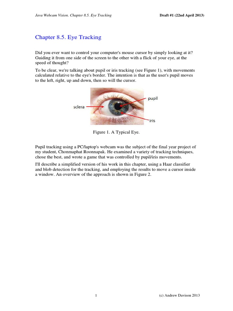 Eye Tracking Through Java | PDF | Eye | Software Engineering