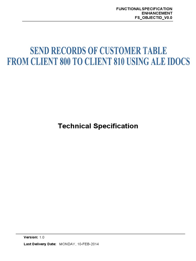 Technical - Specification DEBMAS IDOC | PDF | Parameter (Computer ...