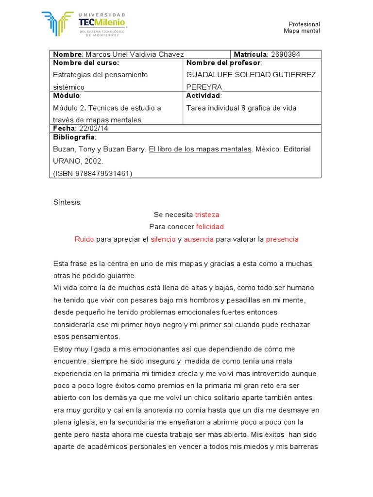 Mapa Mental Act.6prof | PDF