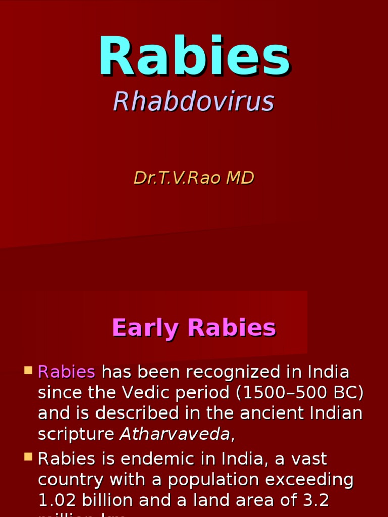 Rhabdovirus | PDF | Rabies | Virus