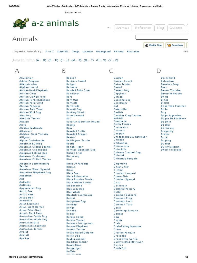A To Z Index of Animals - A-Z Animals - Animal Facts, Information ...