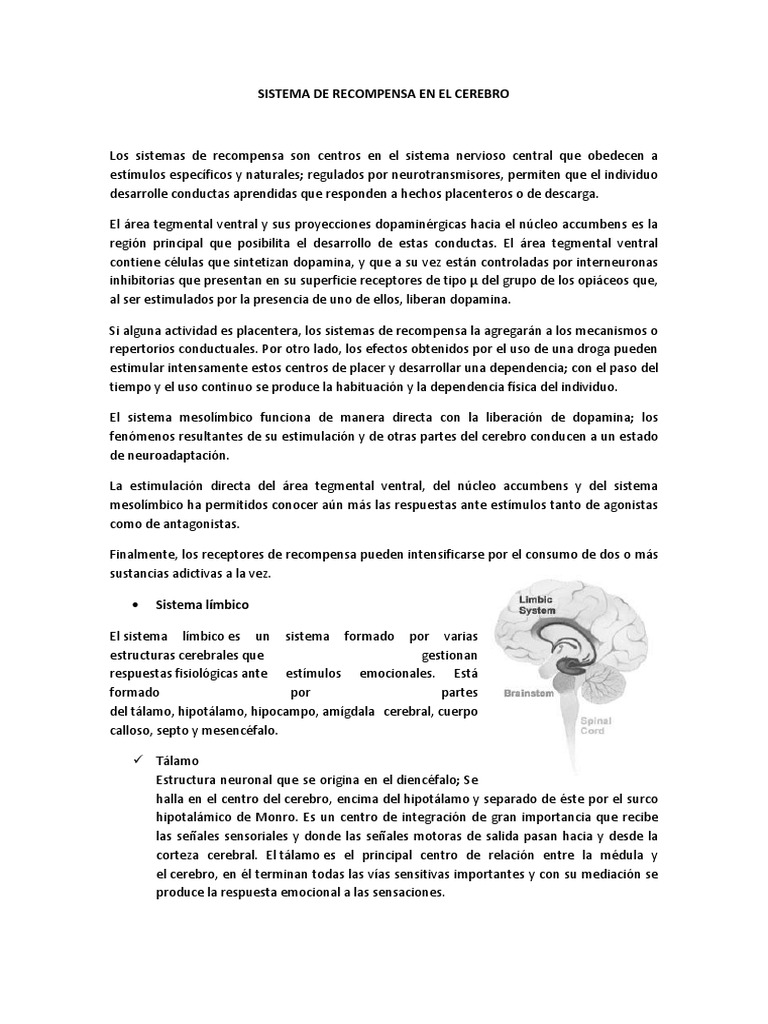 Sistema de Recompensa en El Cerebro | PDF | Cerebro | Fisiología