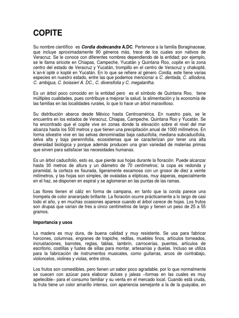 COPITE | PDF | Arboles | Campeche