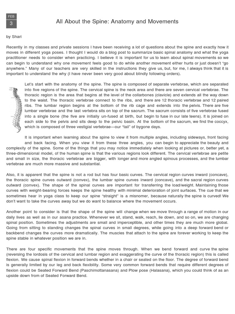 All About The Spine | Download Free PDF | Vertebral Column | Vertebra
